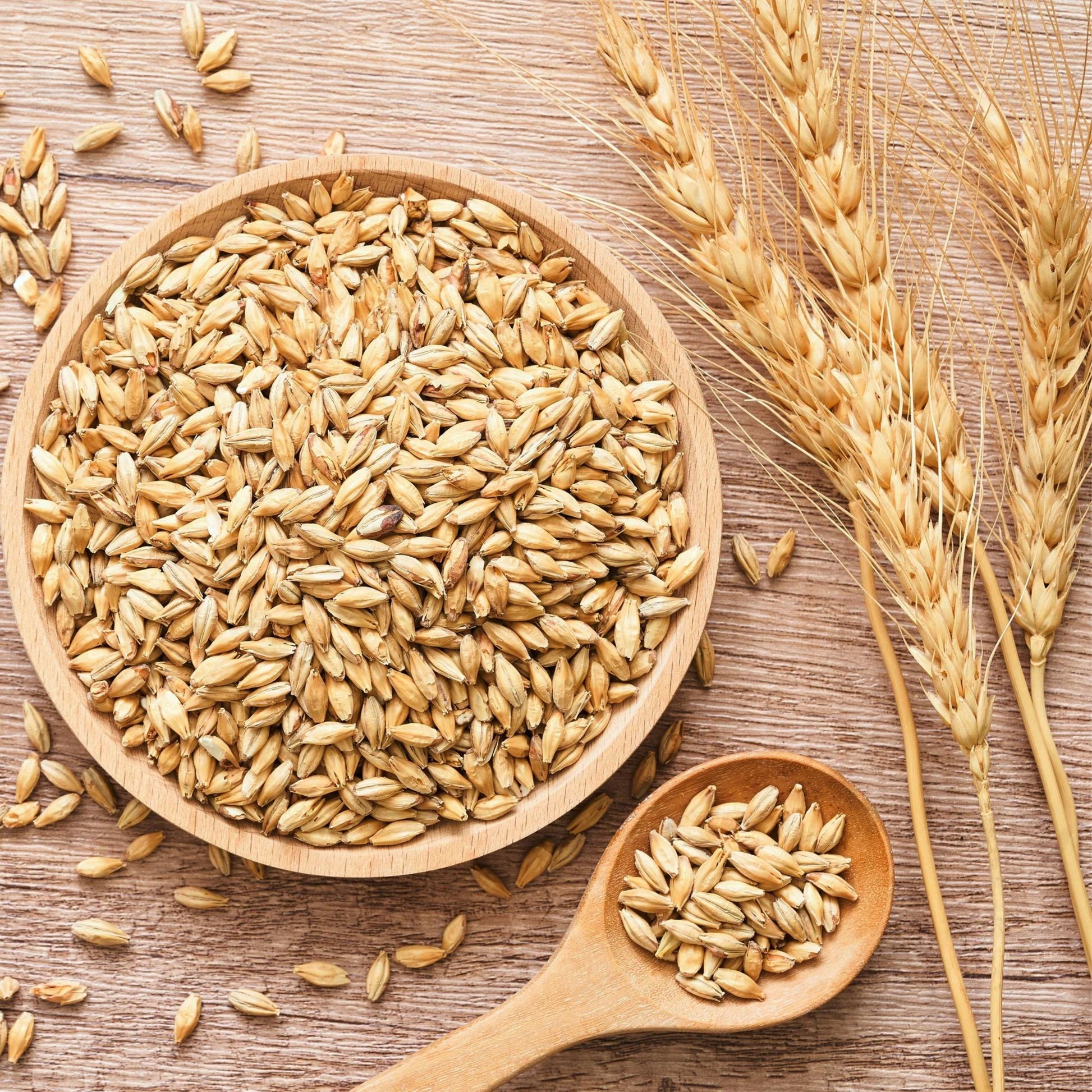 Cretan Barley Dakos Rusks 500g, Greek traditional products online