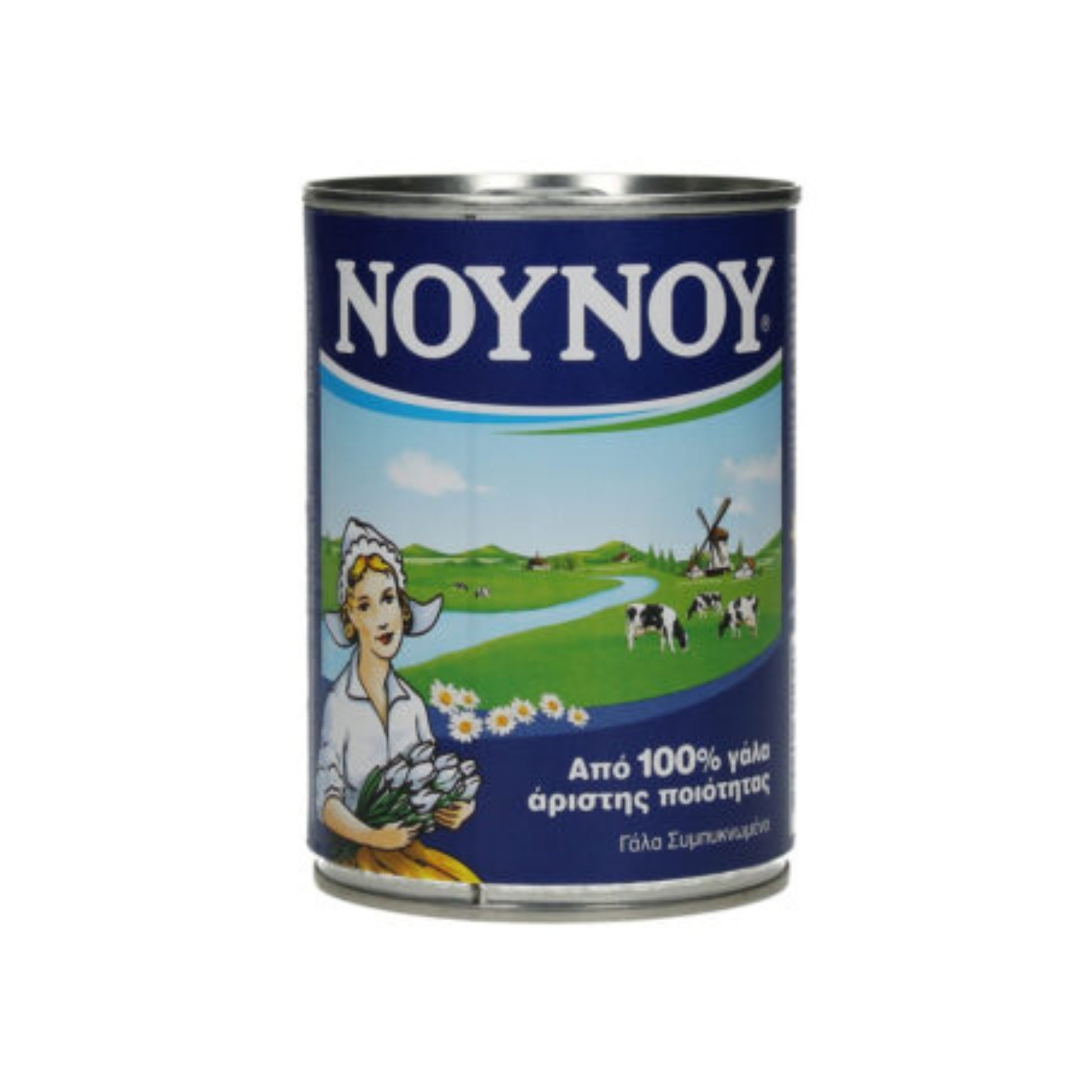 NOYNOY Greek milk 400ml, online sale of Greek traditional products